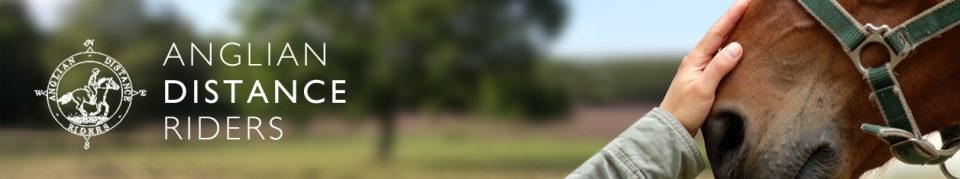 Anglian Distance Riders | Anglian Distance Riders